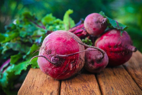 MENGENAL TANAMAN BIT MERAH YANG MEMILIKI UMBI BERGIZI - SANG PETANI