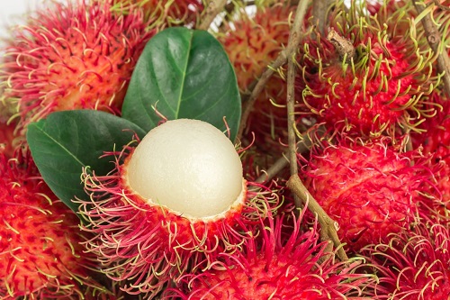 CIRI-CIRI DARI BUAH RAMBUTAN ACEH - SANG PETANI